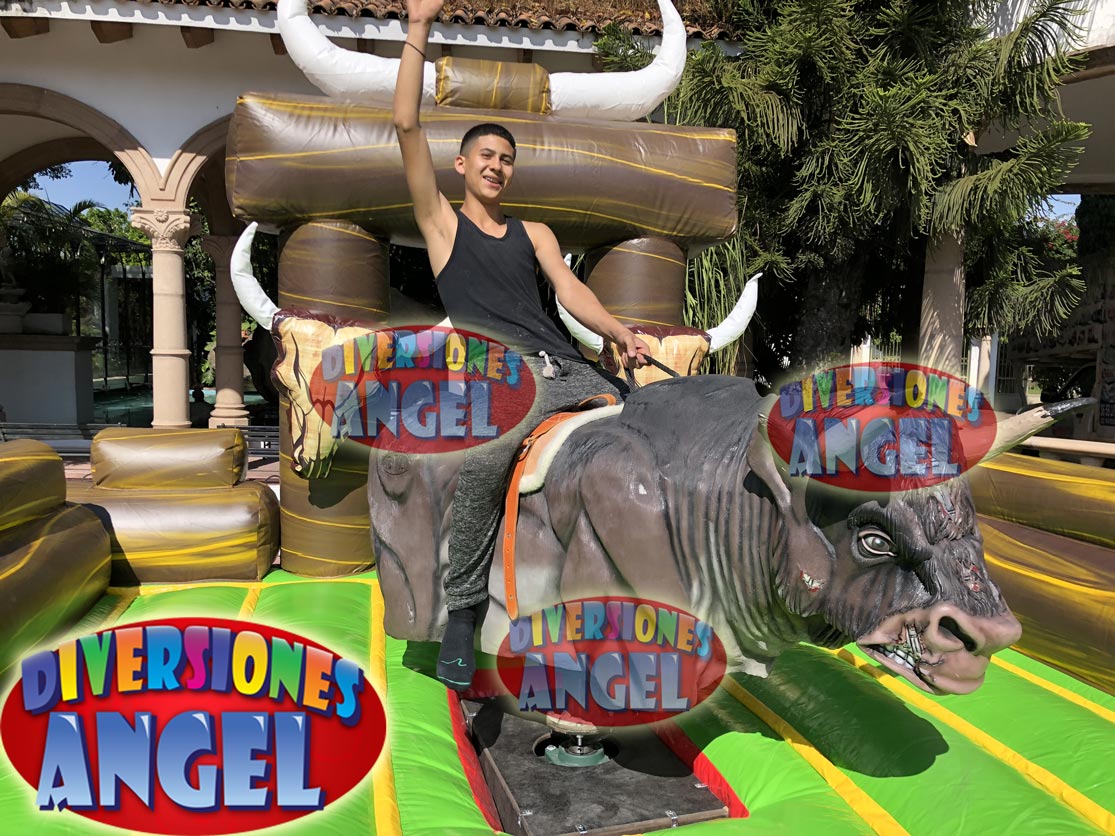 Venta de Toros Mecanicos Terminator Bull VIP